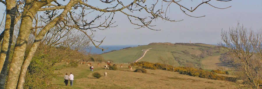 Brading Down - Gift To Nature